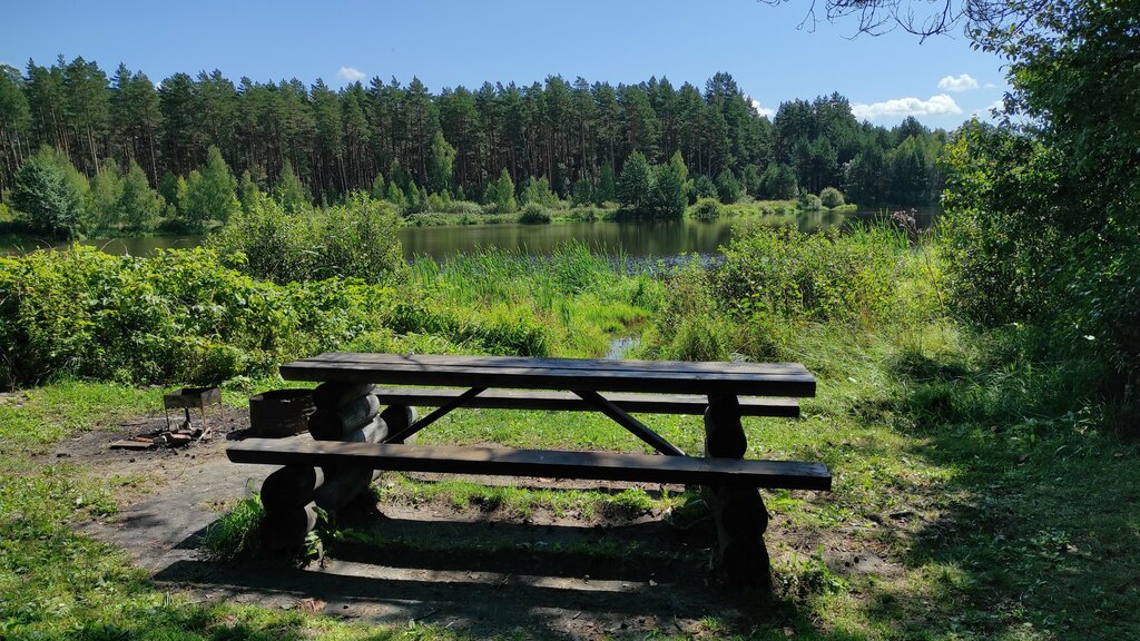 Piknik alanı Место отдыха Староселье, Orlovskaya oblastı, foto