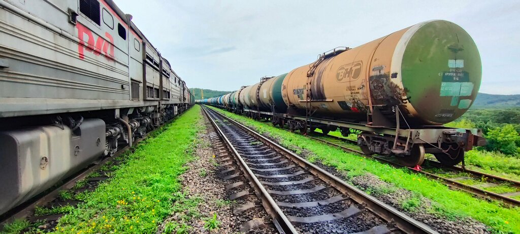 Yük istasyonu станция Стрелковая, Primoriye, foto