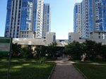 CDEK (Tipanova Street No:27/39), teslimat noktası  Saint‑Petersburg'dan