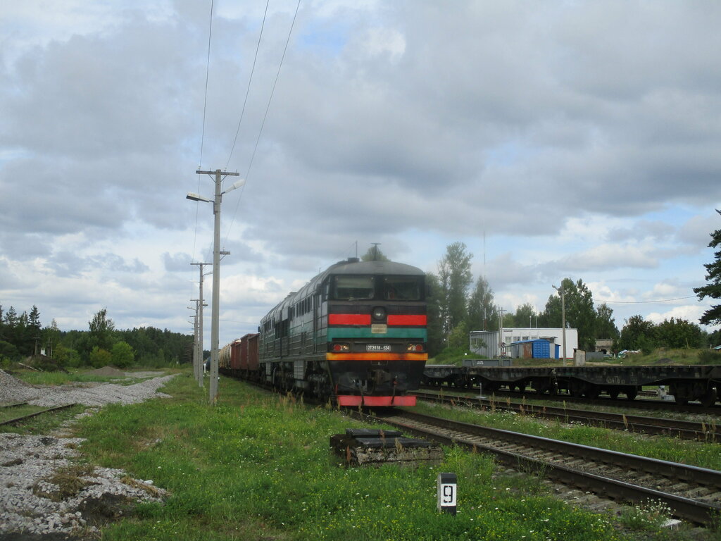 Tren istasyonu Станция Луга-2, Luga, foto