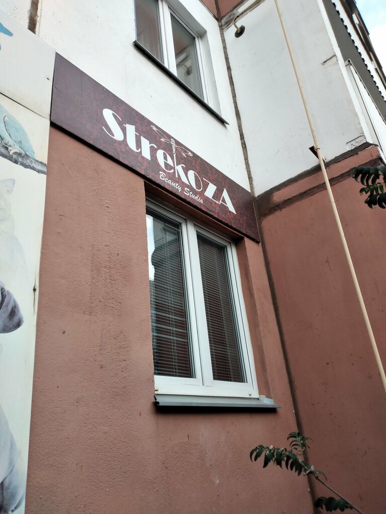Güzellik salonu Strekoza, Magnitogorsk, foto