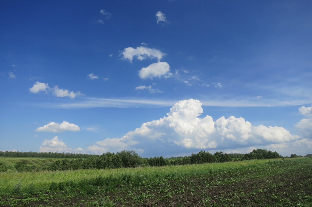 Tren istasyonu Zheleznodorozhnaya stantsiya Burasy, Saratovskaya oblastı, foto