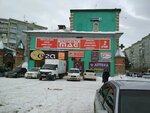 Dachny domik (ulitsa Kropotkina No:288), bahçecilik mağazaları  Novosibirsk'ten