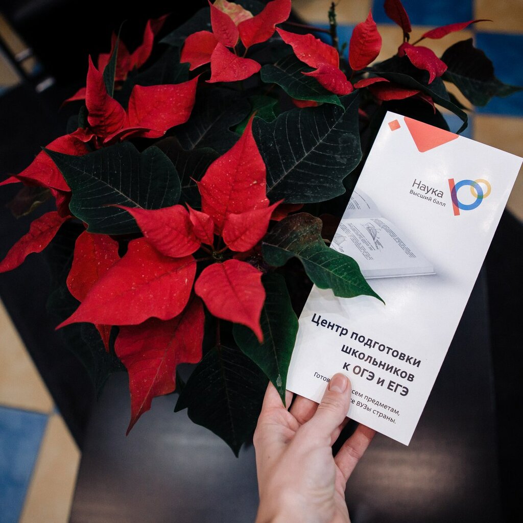 Eğitim merkezleri Nauka Vysshij ball, Rostov‑na‑Donu, foto