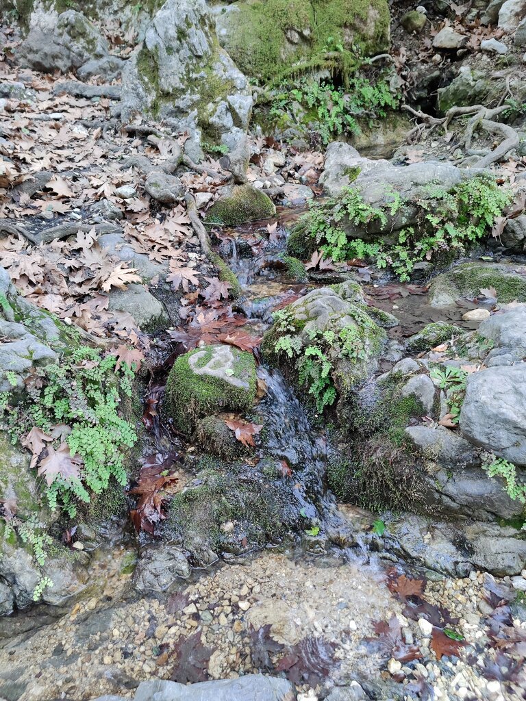 Pınar, çay Çeşme, Antalya, foto