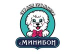 МиниБон (Kongressnaya ulitsa No:31), evcil hayvan kuaförleri  Krasnodar'dan