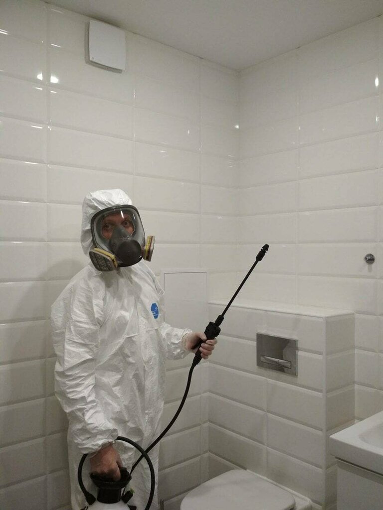 Haşere ilaçlama firmaları Cheboksary pest control service, Cheboksary, foto