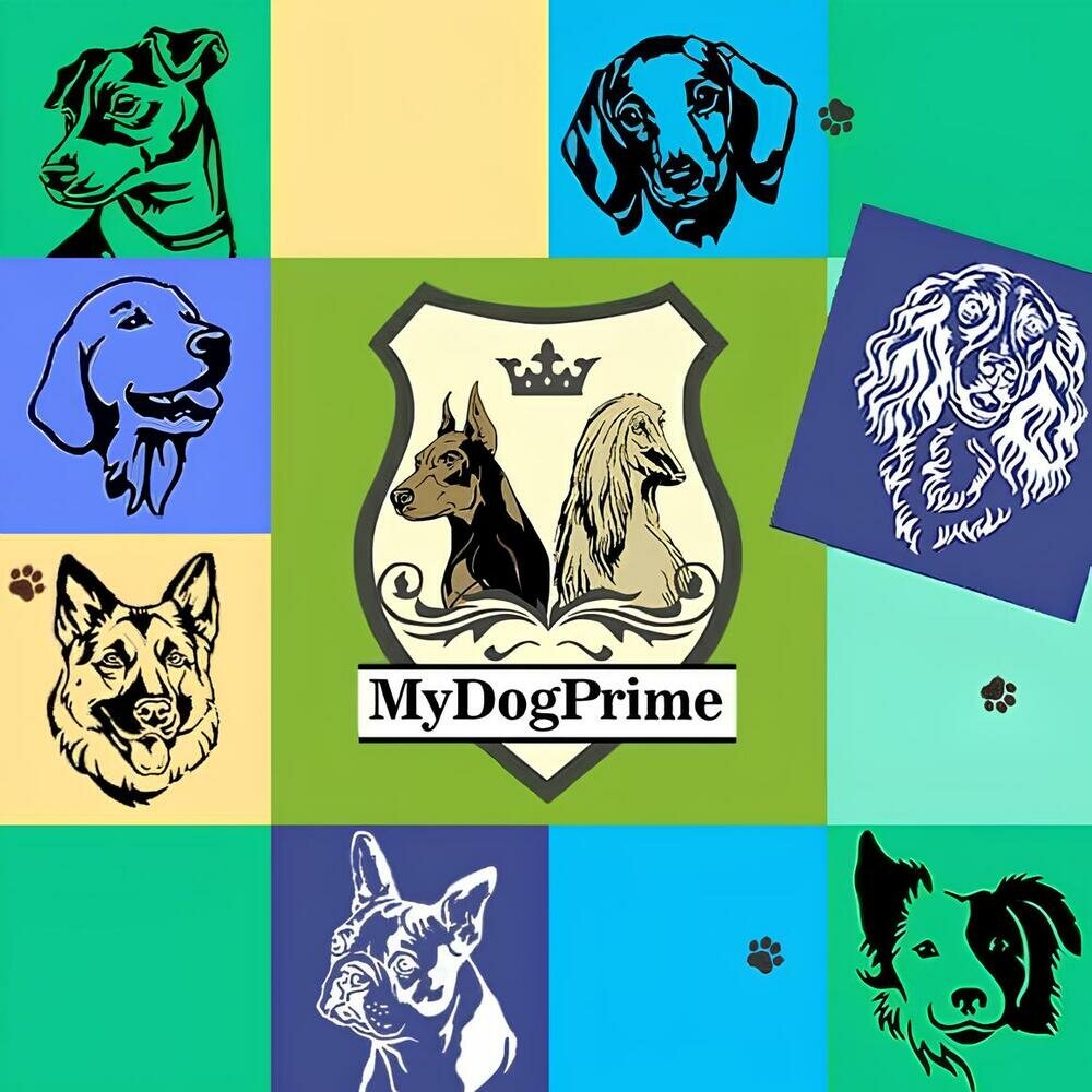 Hayvanat bahçesi merkezi MyDog Prime, Soçi, foto