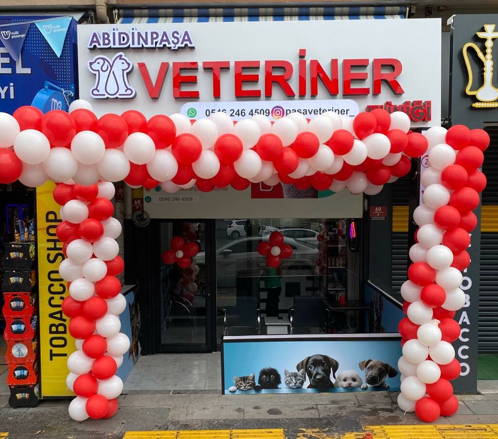 Veteriner klinikleri Abidinpaşa Veteriner Kliniği, Ankara, foto