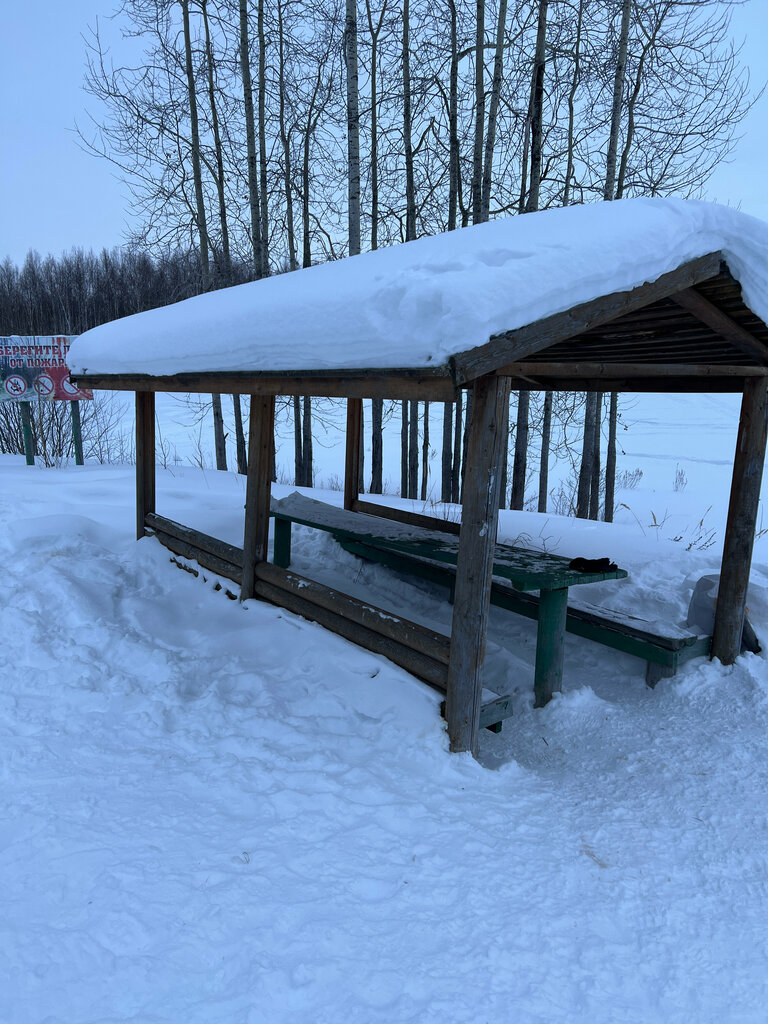 Piknik alanı Беседка для отдыха, Hantı‑Mansi Özerk Okrugu, foto