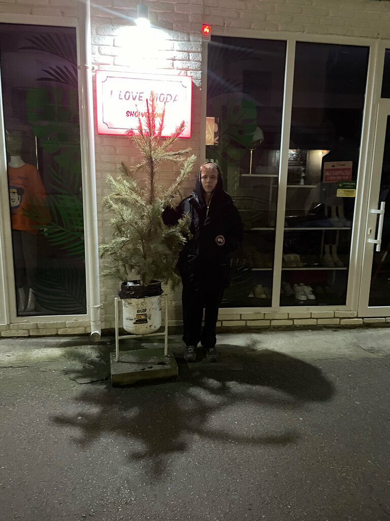 Çöp alanları Trash and garbage disposal area, Feodosya (Kefe), foto