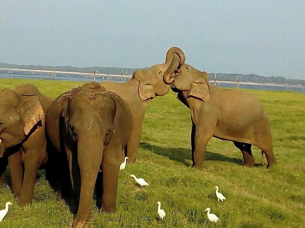 Otel Gangadiya Rest, , foto