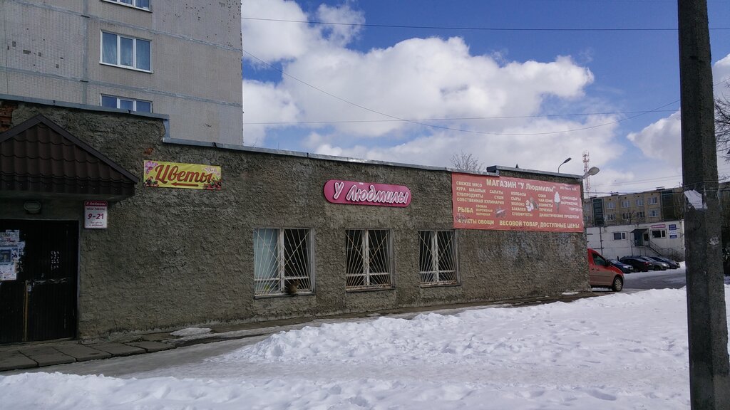 Market Magazin U Lyudmily, Volosovo, foto