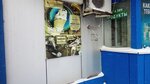 Полярис (Karla Marksa Street No:135, Khabarovsk), dondurmacılar  Habarovsk'tan