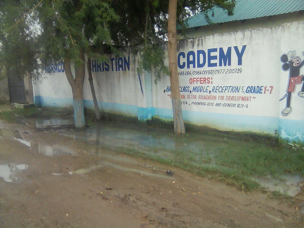 Ortaokul Skyview Trust School, Lusaka, foto