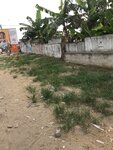 Public Primary School Sicogi Center 3 (Abidjan, La commune Yopougon, Quartier de la Niangon Sud), i̇lkokul  Abican'dan