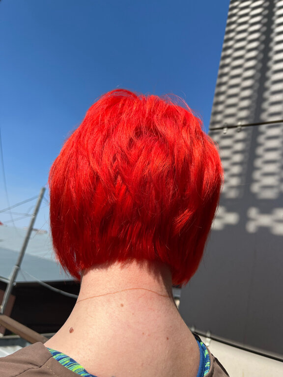 Kuaförler Strekoza, Asino, foto