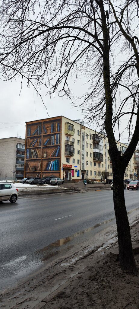 Sokak sanatı Мурал Книжный шкаф, Velikiy Novgorod, foto