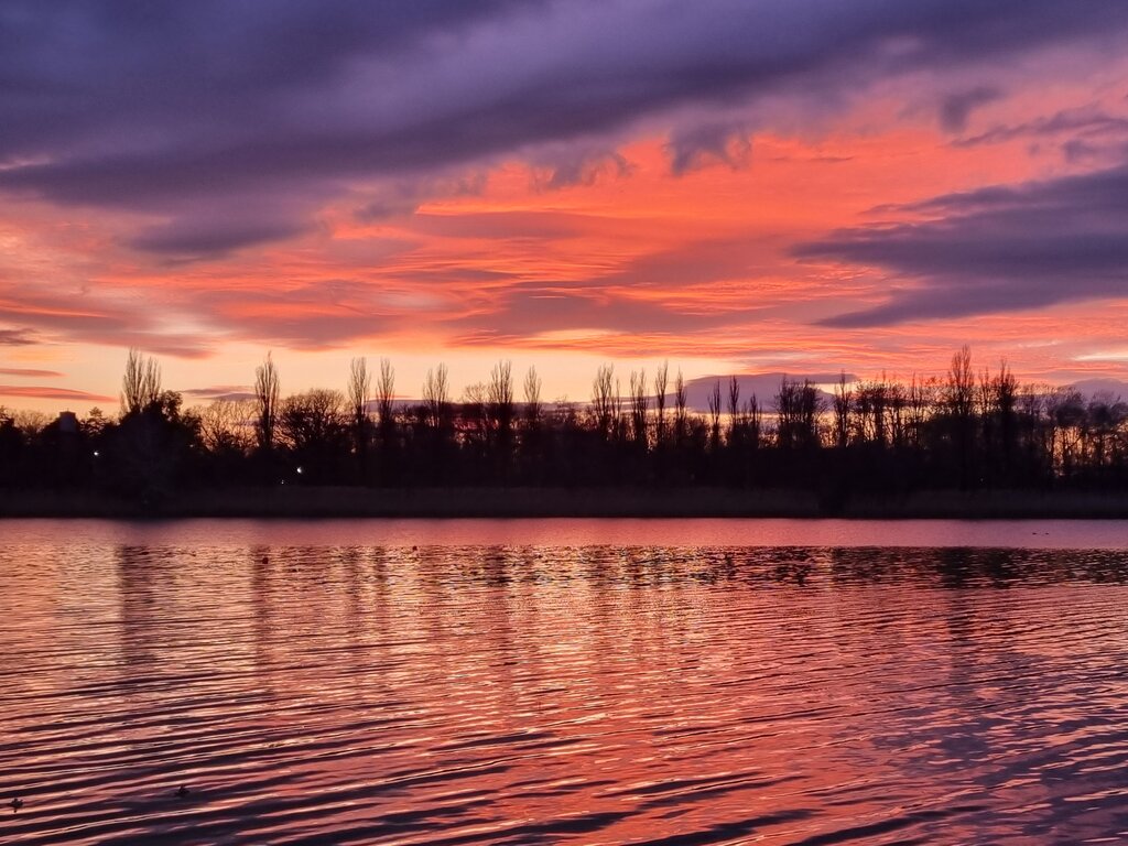 Doğa koruma alanı прибрежный природный комплекс Киргизские плавни, Krasnodar, foto
