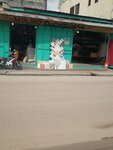 Ets Molino (Brazzaville, Commune de Moungali, Rue de Franceville), i̇nşaat malzemeleri toptan  Brazzaville'den