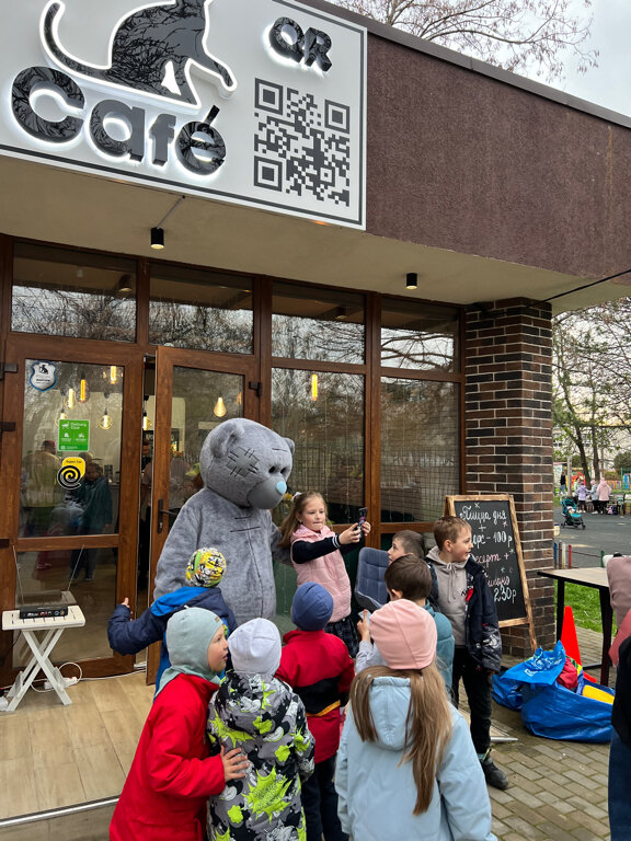 Kafe Qr cat cafe, Anapa, foto