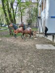 Double-window chariot of the Bronze Age (Kabanbai Batyr Street No:94), turistik yerler  Almatı'dan