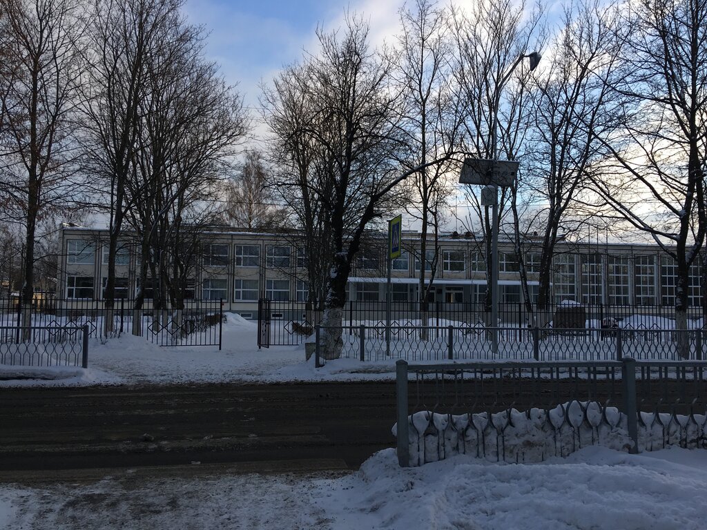 Ortaokul Priozerskaya shkola Srednego Obshchego Obrazovaniya № 4, Priozersk, foto