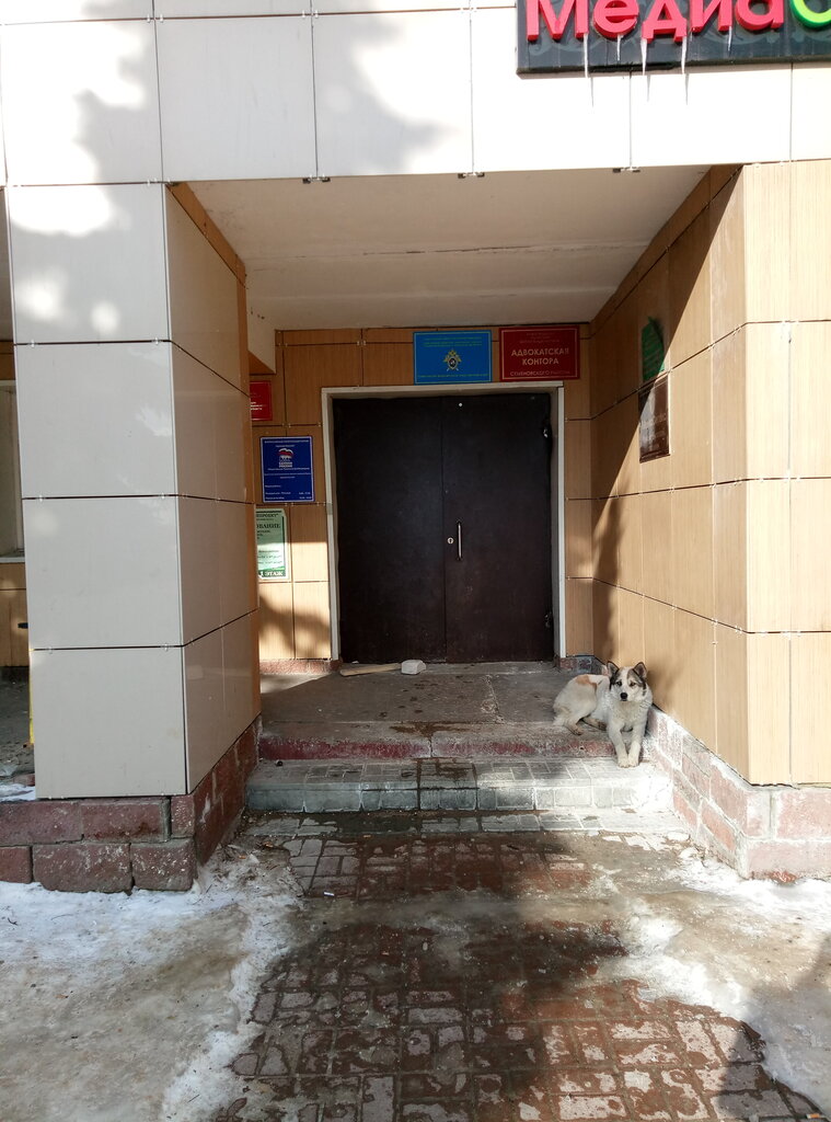 Adliye personeli Federal Bailiffs Service, Semenov, foto