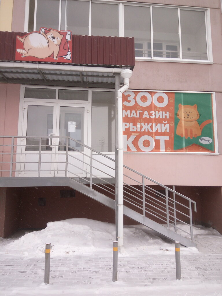 Petshop Redcat, Tomsk, foto
