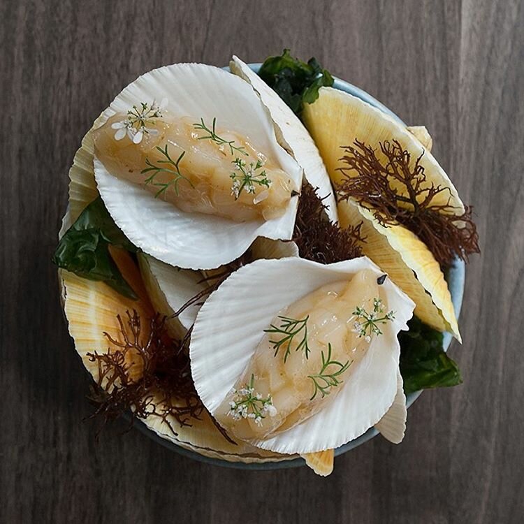 Hazır yemek teslim servisleri Strugatsky rolly, Yekaterinburg, foto