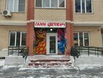 Salon tsvetov № 1 (prospekt Patsayeva No:7к8), çiçekçiler  Dolgoprudny'den