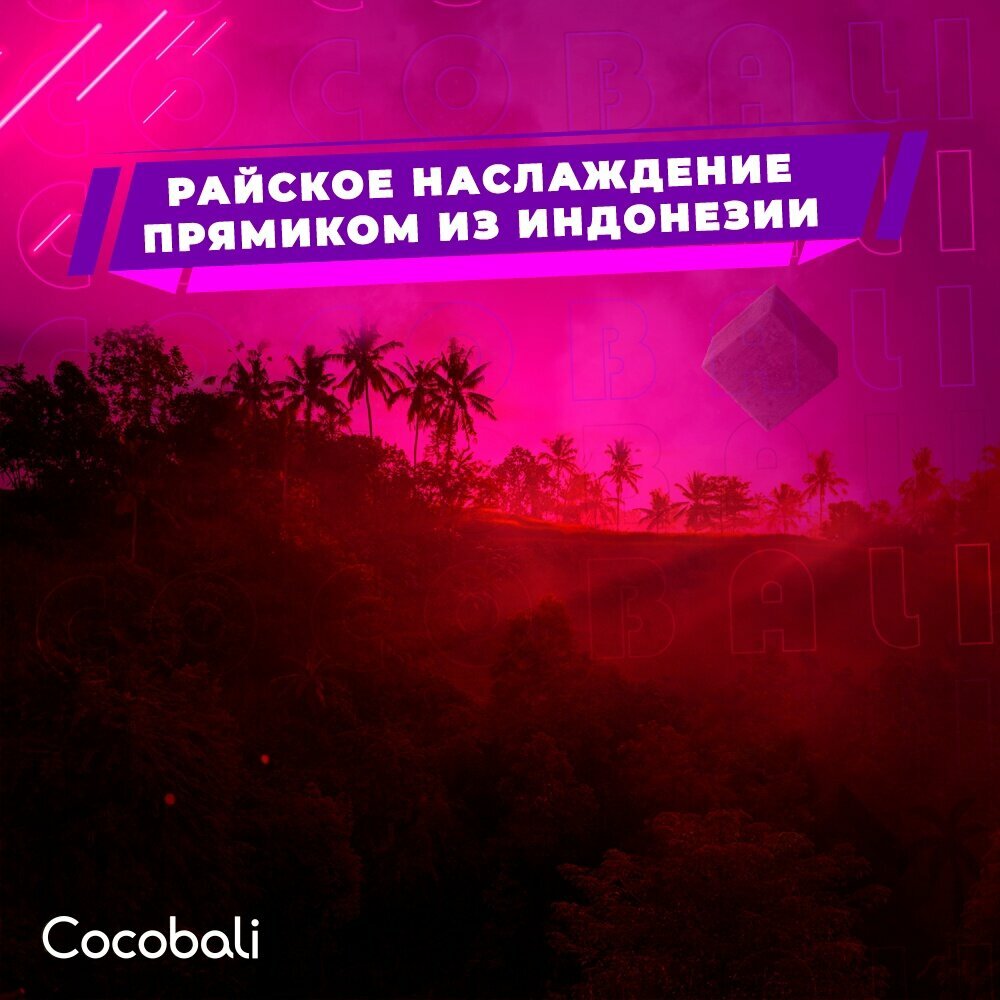 Tütün, sigara mağazaları Cocobali, Moskova, foto