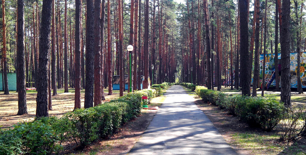 Yaz kampı Детский лагерь Сказочная поляна, Gomelskaya oblastı, foto