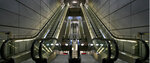 Orient Lines Elevators LLC (8, France-Q Street, France Cluster, Dubai International City, Mushraif, Dubai), asansörler, asansör ekipmanları  Dubai'den