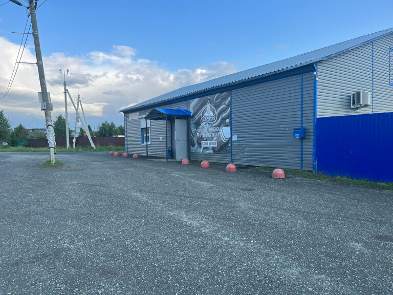 Mini-market Товары повседневного спроса, Sverdlovskaya oblastı, foto