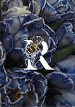Rococo Flowers (проспект Александра Суворова No:15, корп. 1), çiçekçiler  Simferopol'dan (Akmescit'ten)