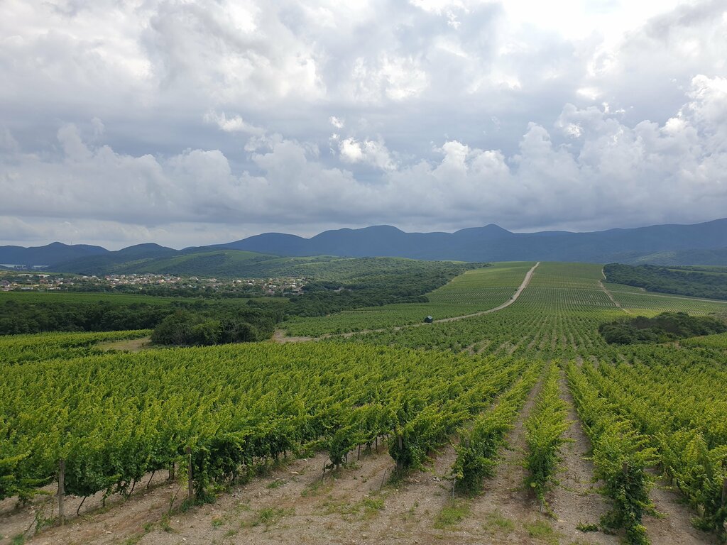 Seyir terası Смотровая площадка, Krasnodarski krayı, foto