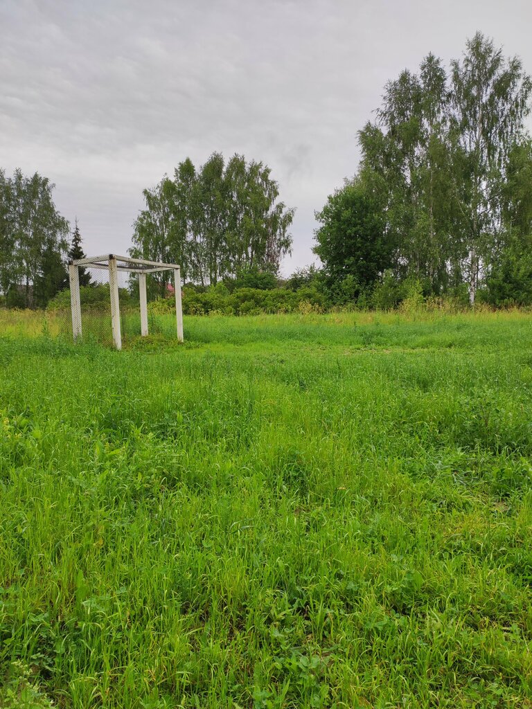 Spor alanı Футбольное поле, Moskova ve Moskovskaya oblastı, foto