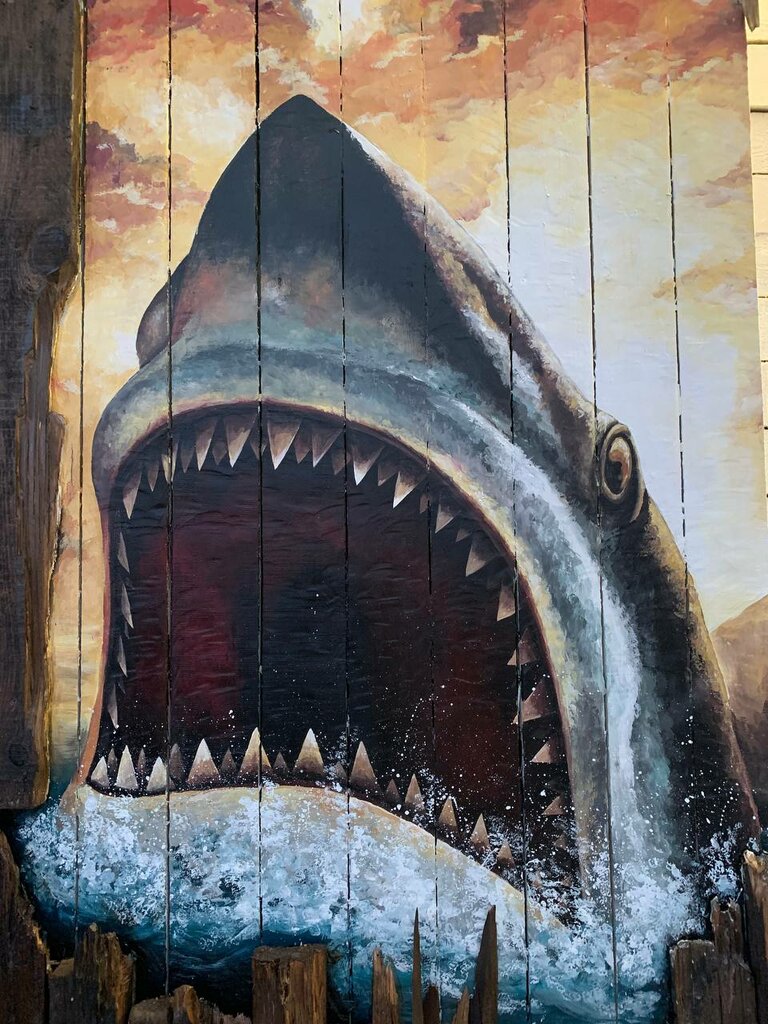 Bar Акула, Soçi, foto