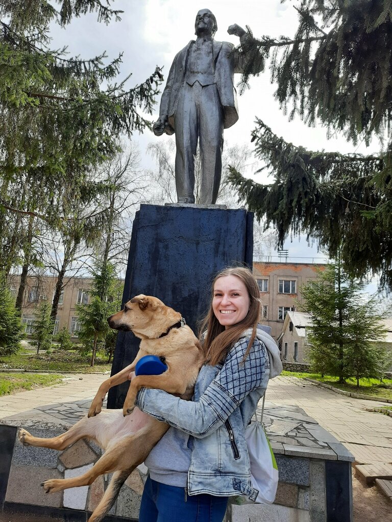 Anıt, heykel В.И. Ленин, Tulskaya oblastı, foto