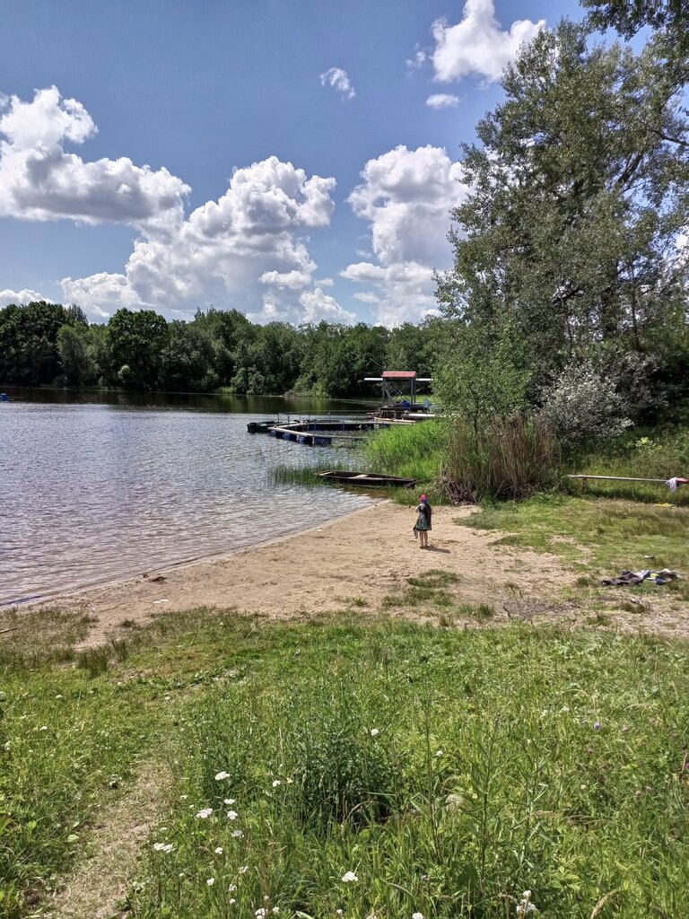 Plaj Beach, Tverskaya oblastı, foto
