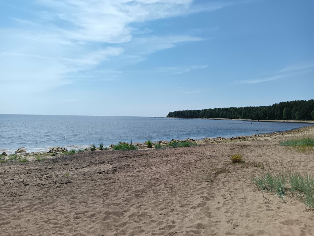 Pınar, çay Spring, stream, Saint‑Petersburg ve Leningradskaya oblastı, foto