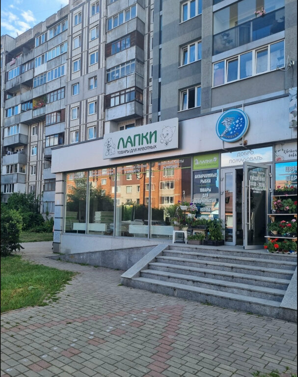 Petshop Лапки, Kaliningrad, foto