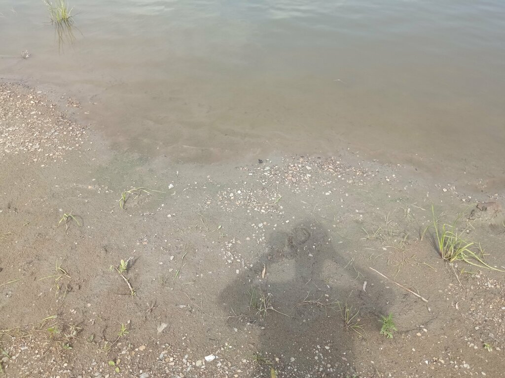 Plaj Пляж, Toguchin, foto