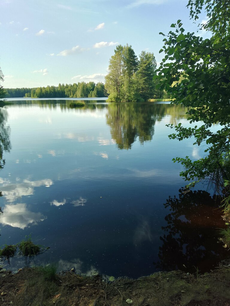Plaj Пляж, Saint‑Petersburg ve Leningradskaya oblastı, foto