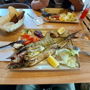 Live Fish restaurant (Chelyabinsk Region, Miasskiy gorodskoy okrug, gornolyzhny tsentr Solnechnaya dolina), restoran  Çeliabinskaya oblastından