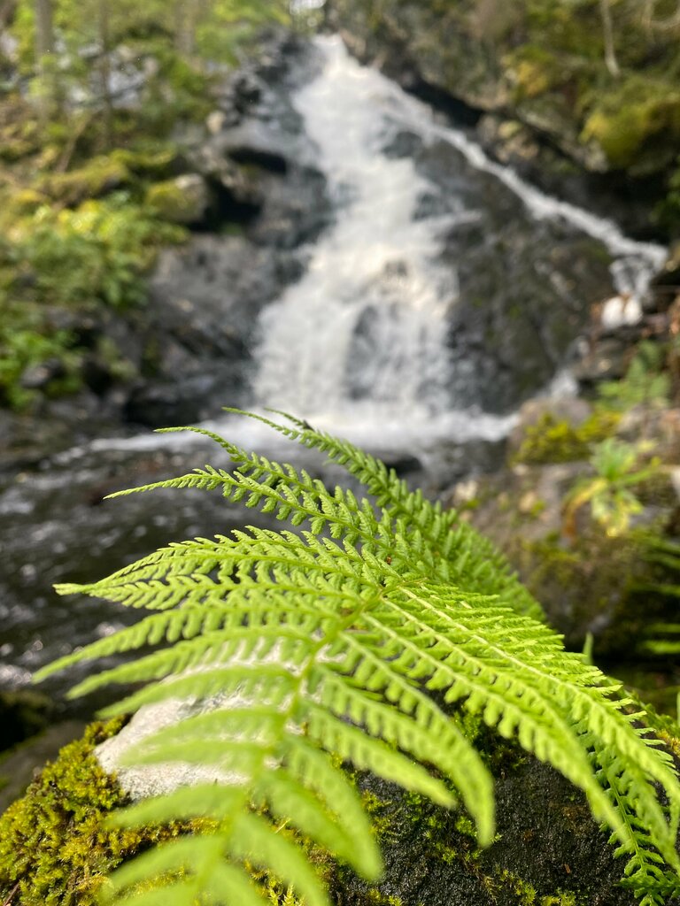 Şelale Molochnyy Waterfall, Karelya, foto