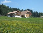 Kaserhof (Trentino-Alto Adige, Bolzano – South Tyrol, Via Geirer, 26), evcil hayvan yetiştiricileri  Trentino‑Alto Adige'den