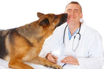 Ambulatorio Veterinario Lazzarini - De Lorenzi - Zattoni (Emilia-Romagna, Ravenna, Via Arcangelo Corelli, 16), veteriner klinikleri  Forli'den