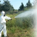 S. D. S. Ecologica Disinfestazione (Calabria, Vibo Valentia, Via Rinella, 10), haşere ilaçlama firmaları  Calabria'dan